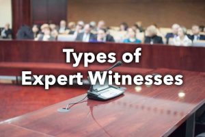 Inspecting the Experts | Examining Different Expert Witnesses